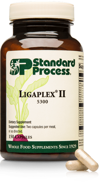 Nutritional Supplements Supporting Bones & Joints | Standard Process