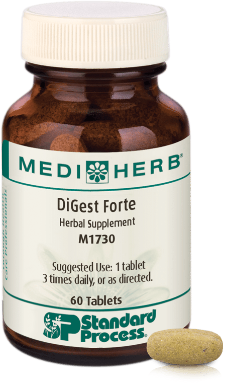 Nutritional Supplements Supporting Digestion Health | Standard Process