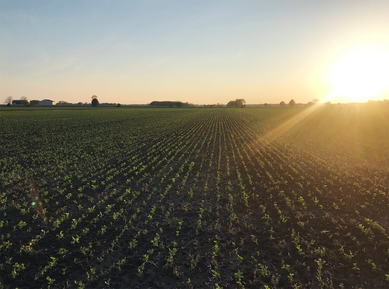 Supporting Pollinators on Our Organic Farm | Standard Process Blog ...