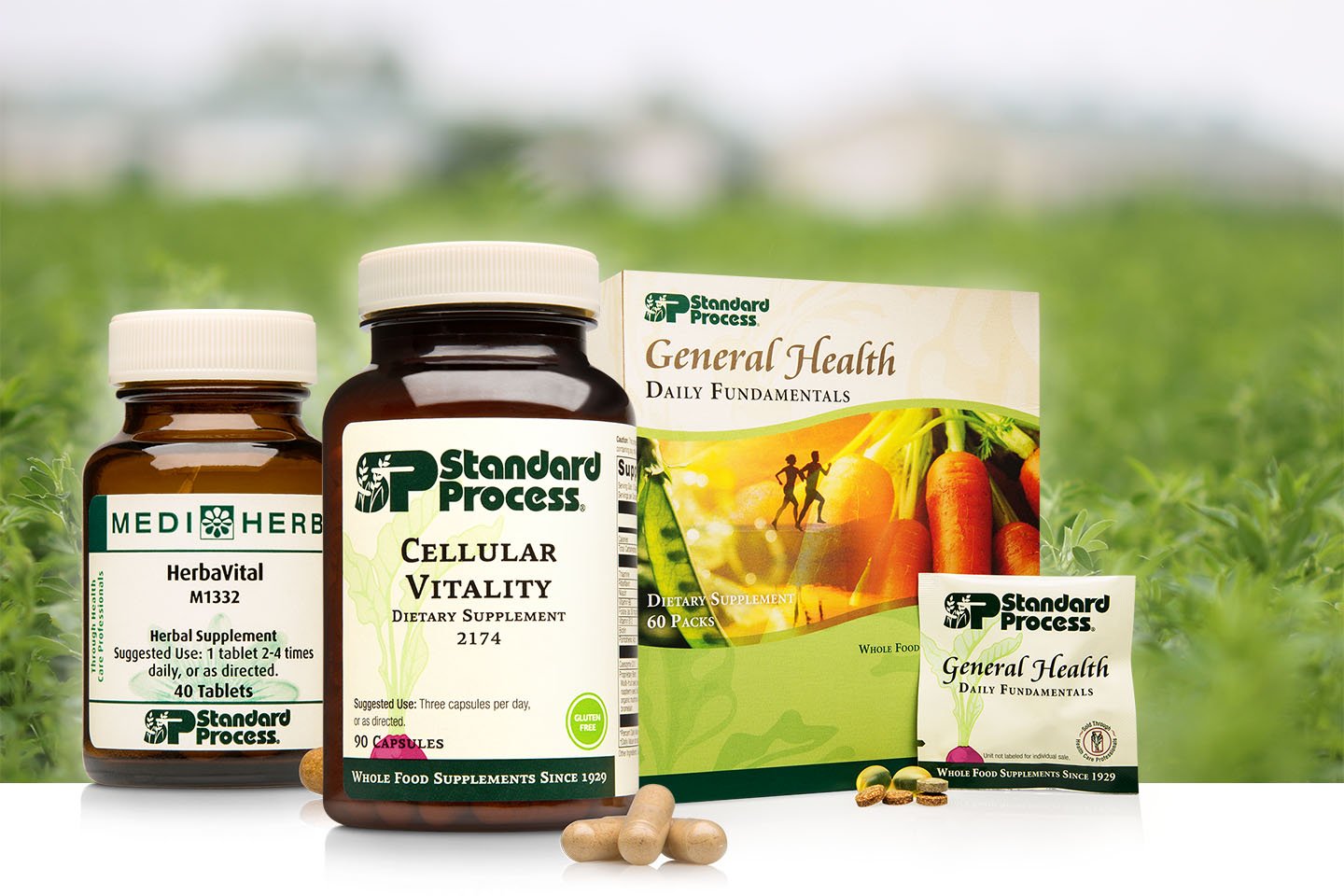 Nutritional Supplements for Foundational Health | Standard Process