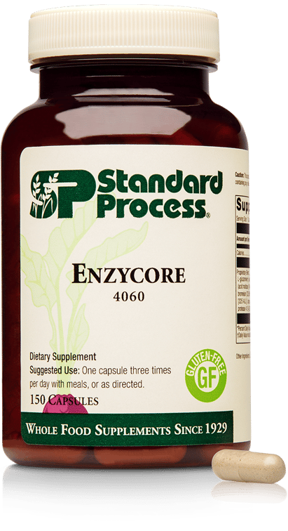 Nutritional Supplements Supporting Digestion Health | Standard Process