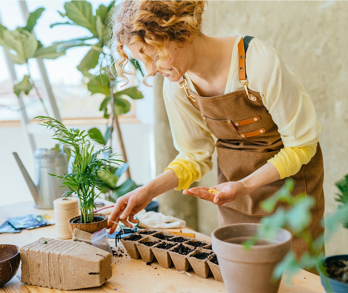 Nutritional Supplements Supporting Immune System Health | Standard Process